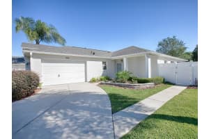 Cottages At Summerchase Homes For Sale in The Villages
