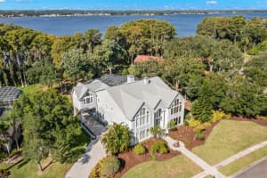 Lansbrook Homes For Sale - Palm Harbor Real Estate