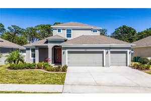 Summerview Homes For Sale - Mount Dora Real Estate