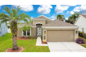 South Ridge Homes For Sale - Brandon Real Estate