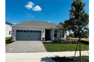 Alexander Ridge Homes For Sale - Winter Garden Real Estate