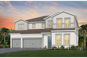 Alexander Ridge Homes For Sale - Winter Garden Real Estate