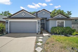 Chelsea Oaks Homes For Sale - Tavares Real Estate