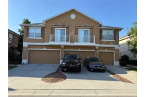 Little Ridge Townhouses For Sale in New Port Richey