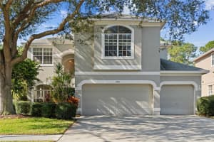 Golfside In Lansbrook Palm Harbor Homes For Sale