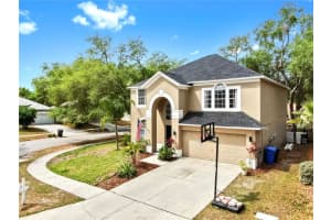 Copper Ridge Homes For Sale - Valrico Real Estate