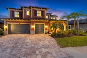 Waterleaf Homes For Sale - Riverview Real Estate